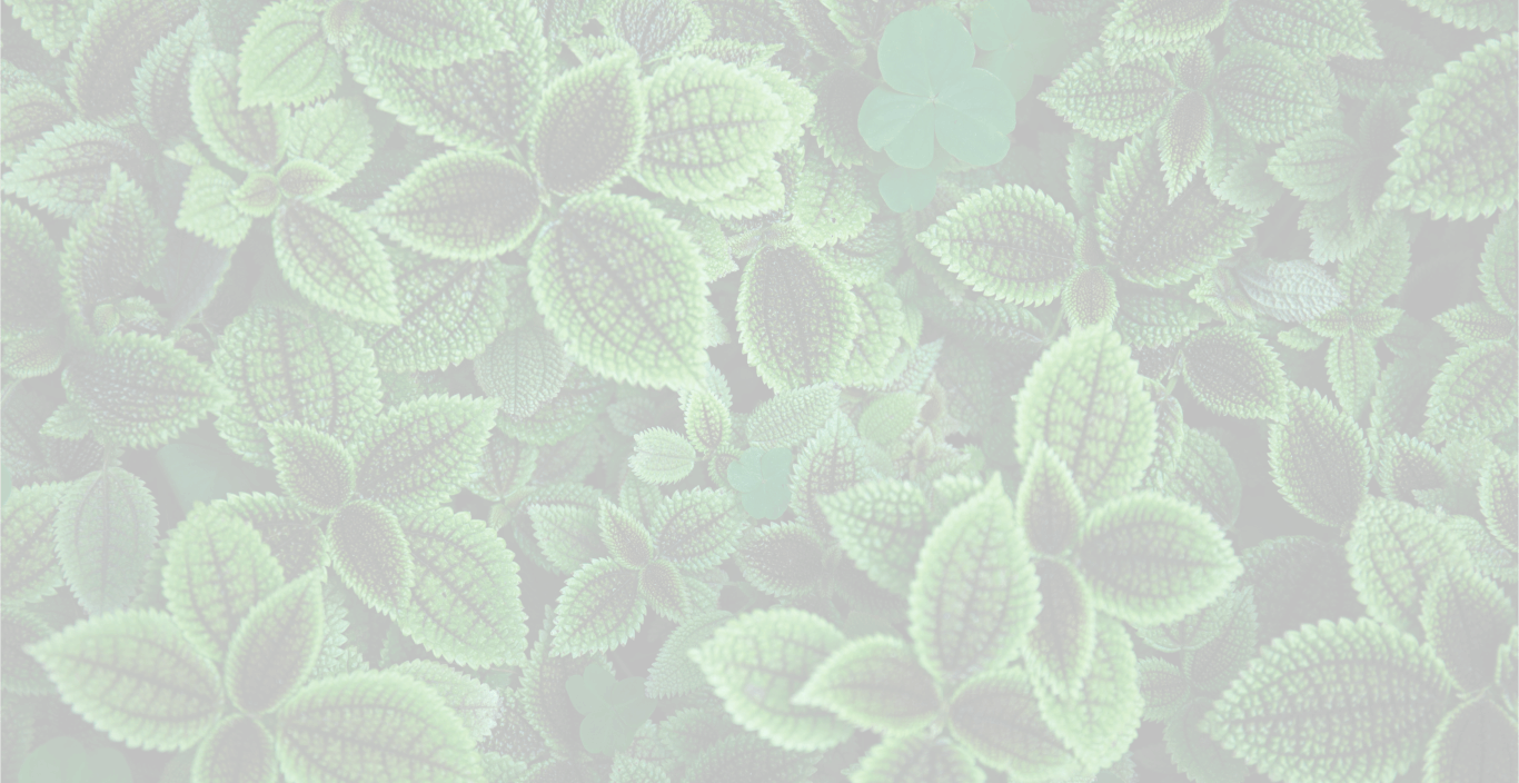 Laboratoires Magpharm, leader des produits de santé et bien-être